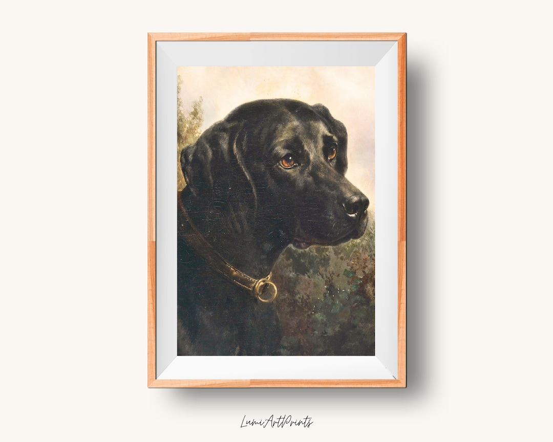 Vintage Black Labrador Digital Art Print, Dog Oil Painting, Antique Dog ...