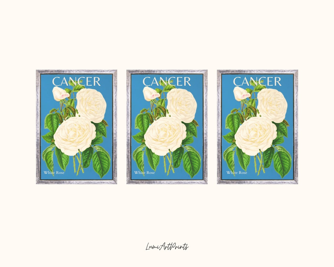 June Birth Flower Art, Summer Art, Birth Month Flower Print, Cancer ...