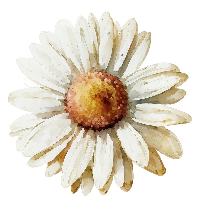 Watercolor Flower Clipart, Daisy PNG & JPG Images, Watercolor Daisy ...