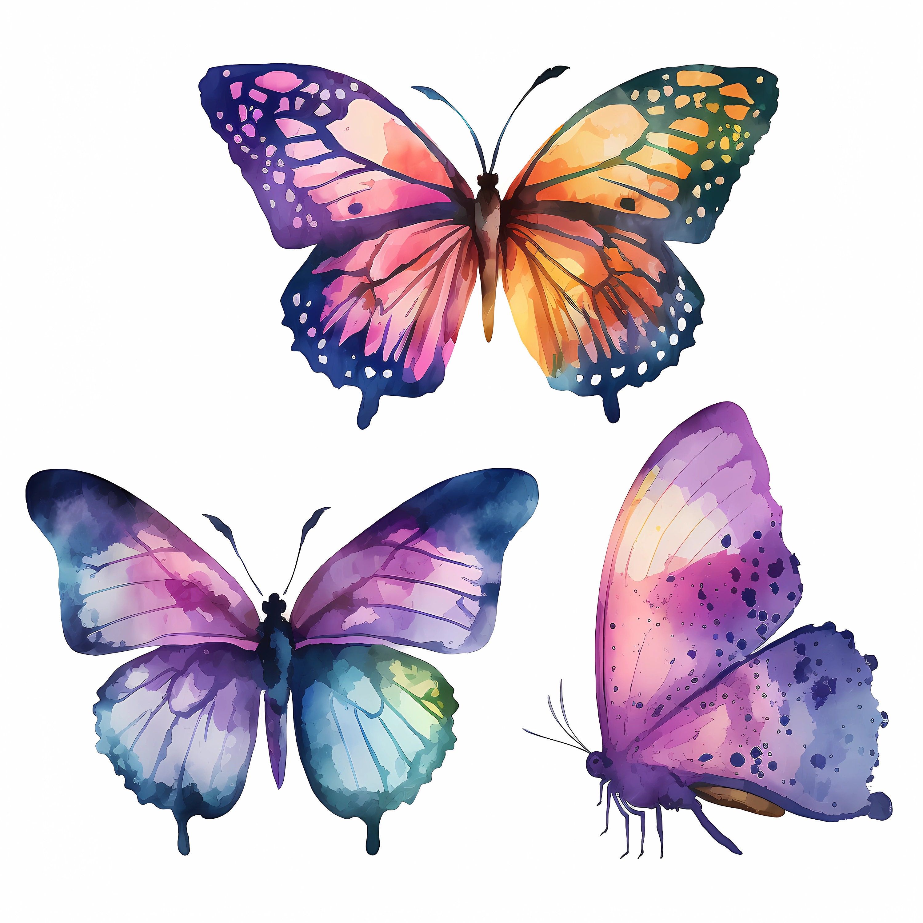 Watercolor Butterfly Clipart High Quality Butterfly PNG & JPG - Etsy