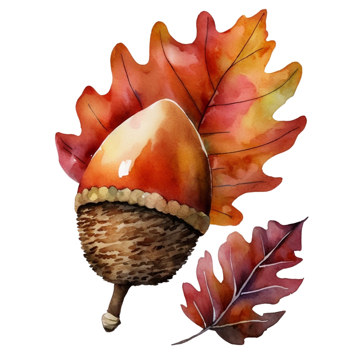 Watercolor Autumn Clipart Watercolor Fall Clipart Autumn PNG - Etsy