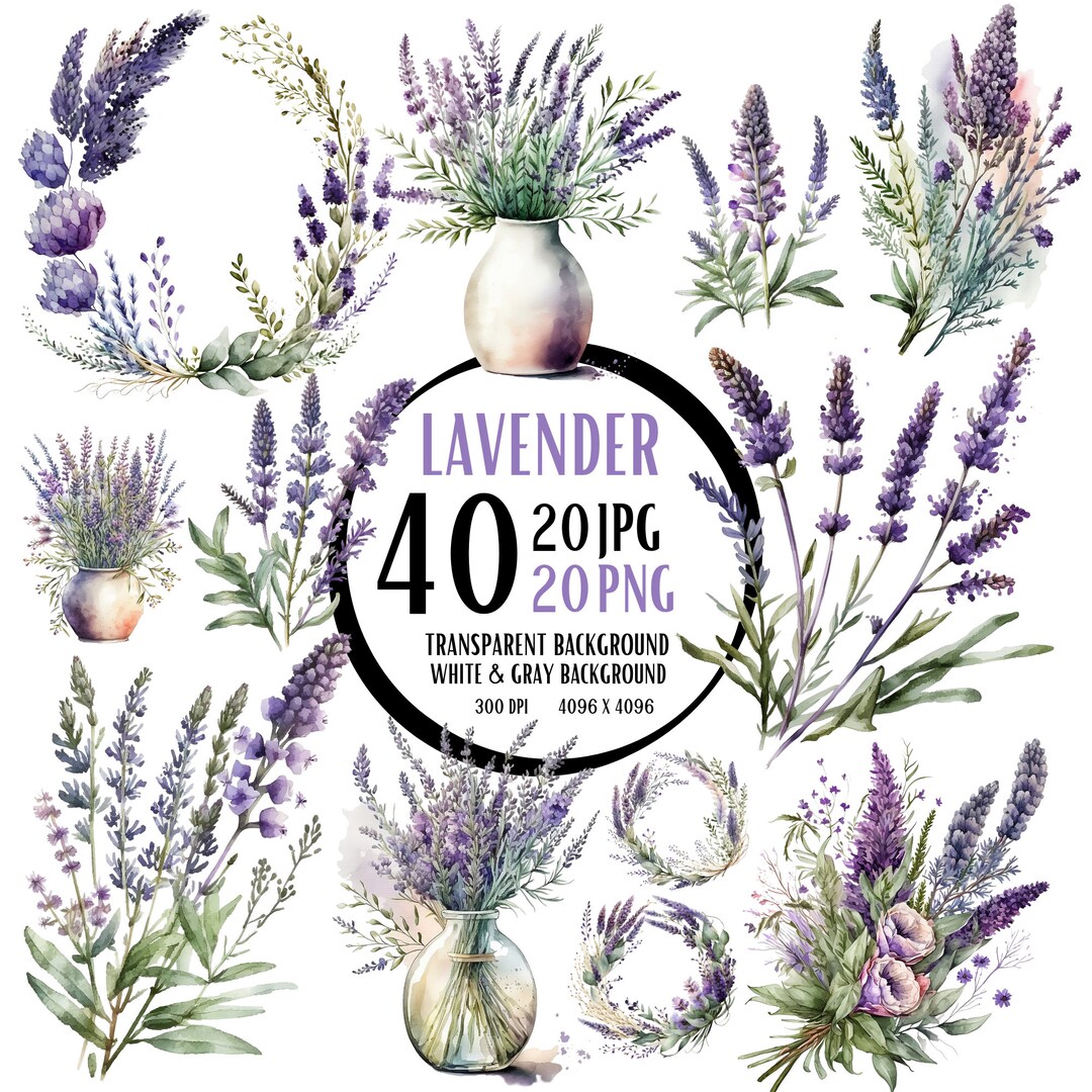 Watercolor Flower Clipart, Lavender PNG & JPG Images, Watercolor ...