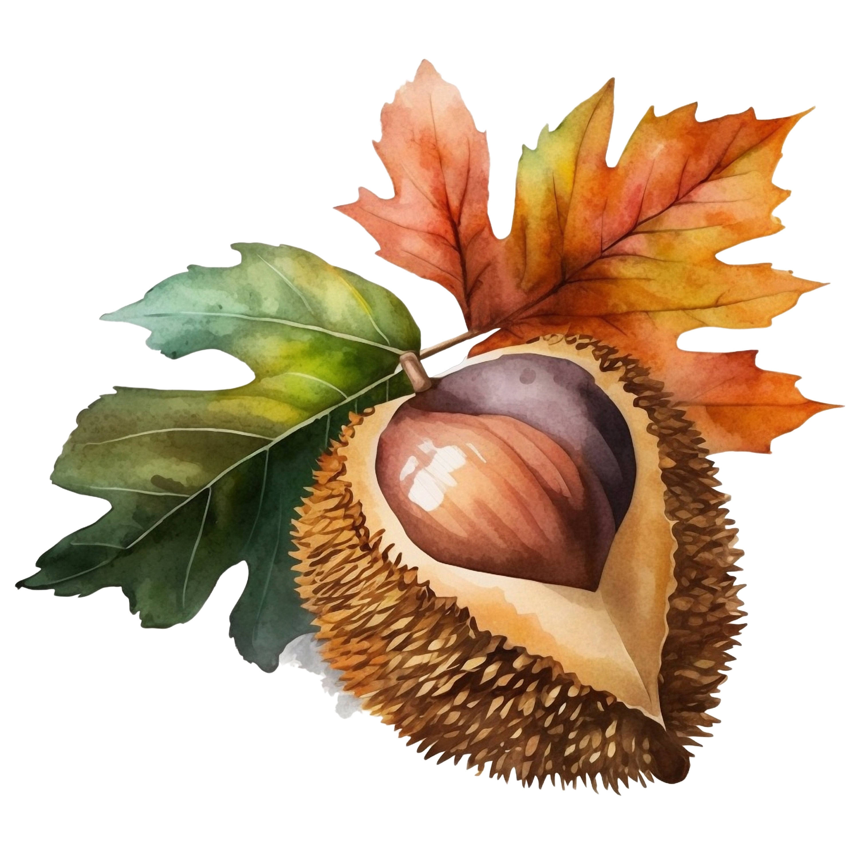 Watercolor Autumn Clipart Watercolor Fall Clipart Autumn PNG - Etsy