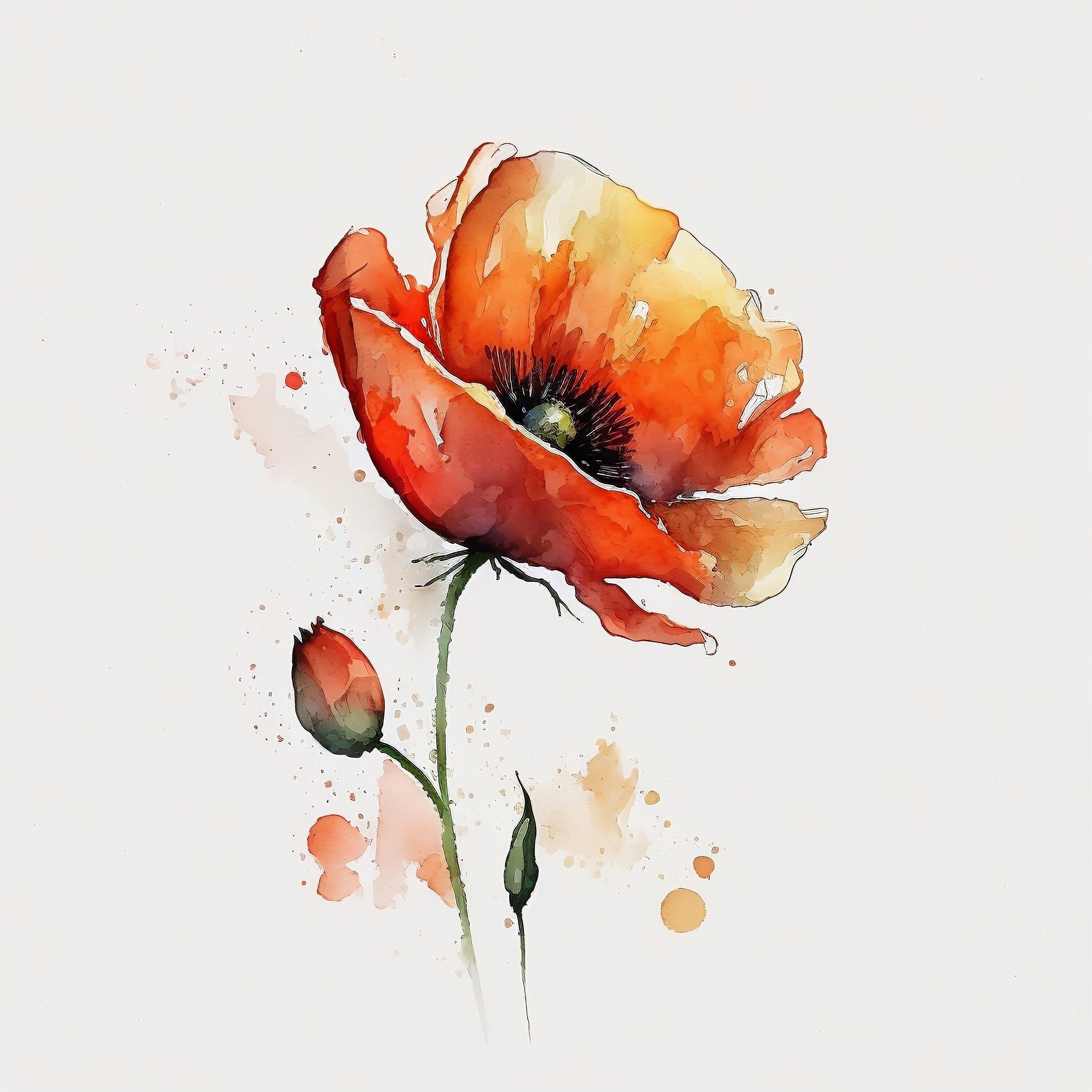 Watercolor Flower Clipart, High Quality Poppy PNG & JPG Images ...