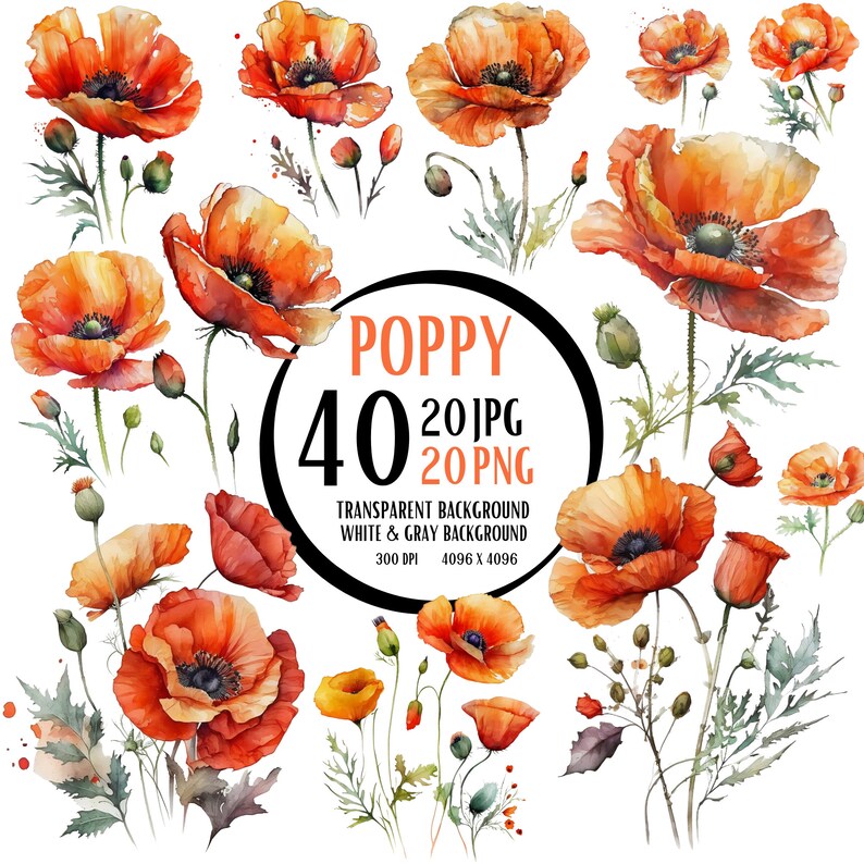Watercolor Flower Clipart, High Quality Poppy PNG & JPG Images ...