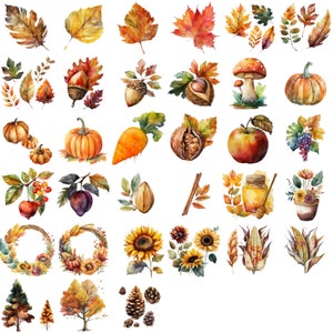 Watercolor Autumn Clipart Watercolor Fall Clipart Autumn PNG - Etsy