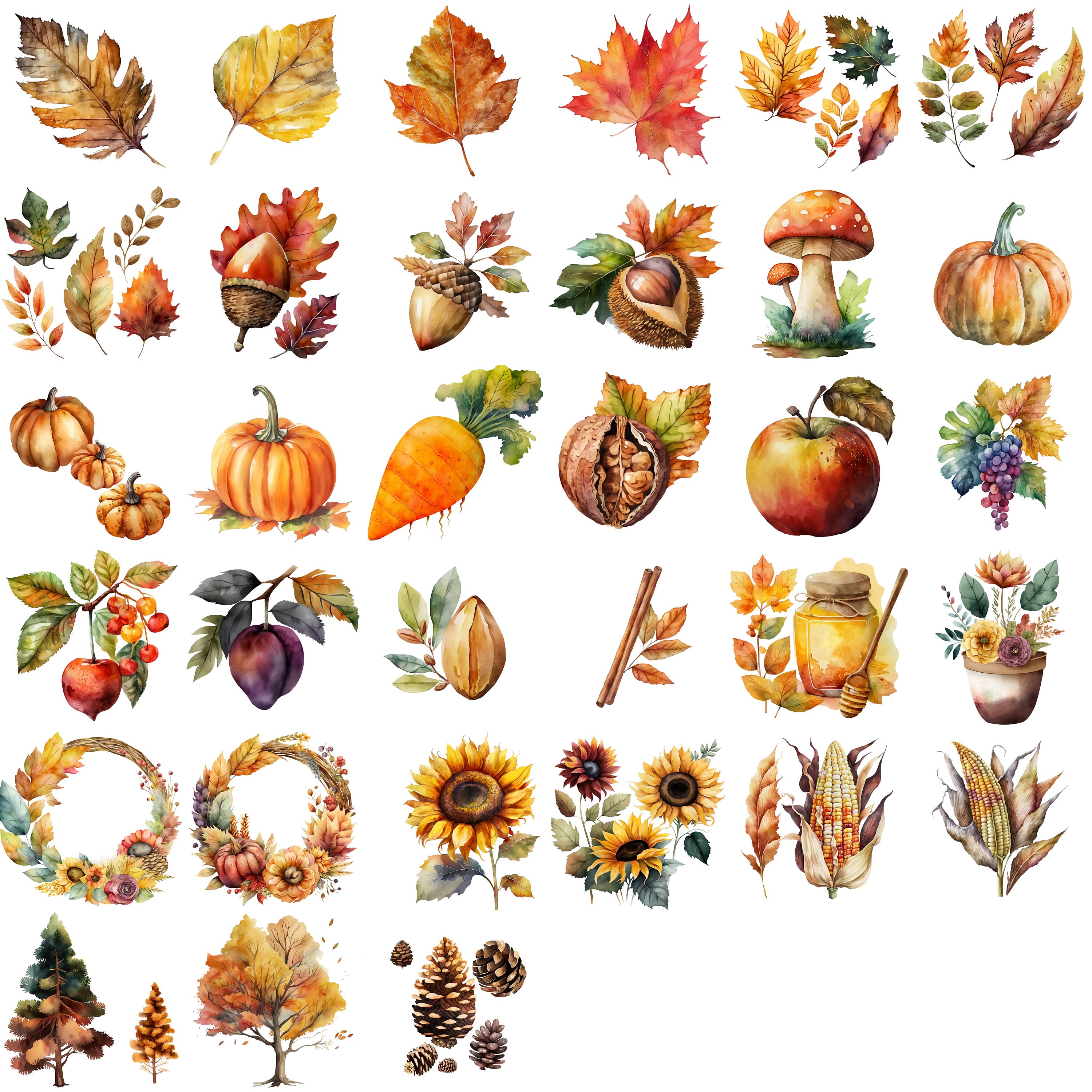 Watercolor Autumn Clipart, Watercolor Fall Clipart, Autumn PNG Images ...