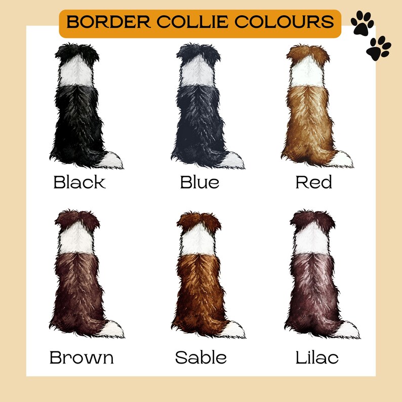 Personalized Border Collie Phone Case, Custom Dog Name iPhone and ...