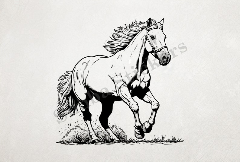 Horse Galloping Outline Art PNG+SVG Transparent Background Digital Art ...