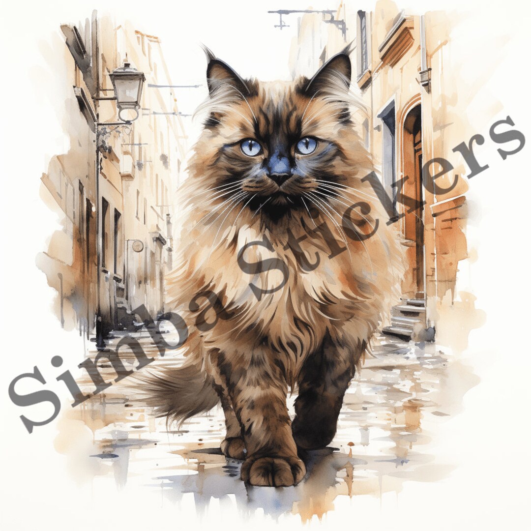 10-pack Himalayan Cats Watercolour PNG Image Set Domestic Pet Animal ...
