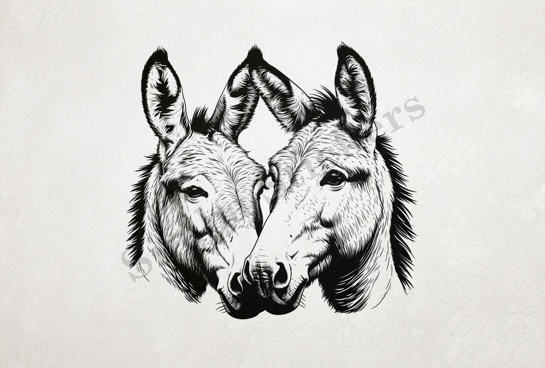 Donkeys Cheek-to-cheek in Love St. Valentine's Day Romantic Outline Art ...