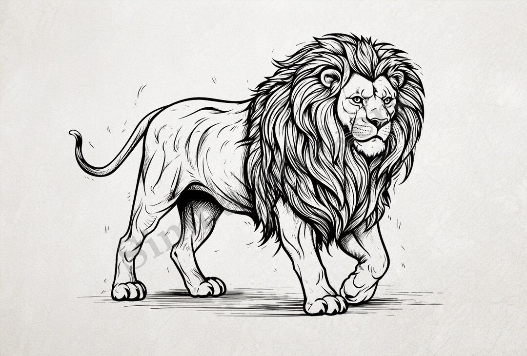 Lion Outline Art Transparent PNGSVG Sticker Fun Digital Sticker African ...