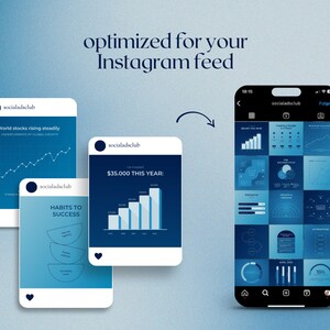 Infographic Instagram Post Canva Template for Coaches | Charts and ...