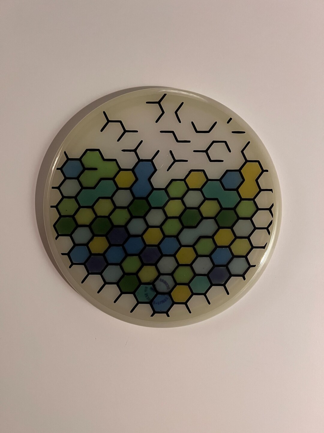 Custom Dyed Hex Axiom Dyed Discs Disc Golf Gift Frisbee Golf Decor ...