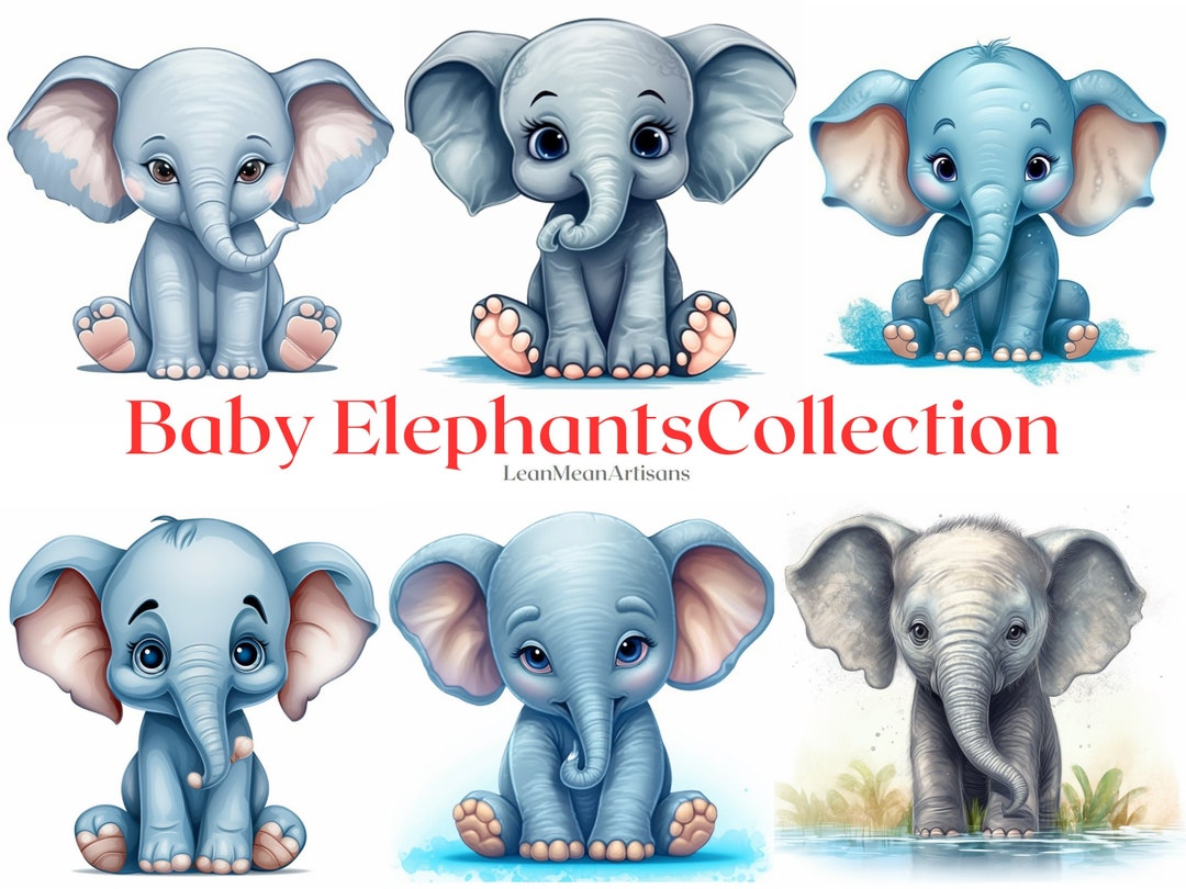 Baby Elephants Clipart PNG Digital Art Collection Instant - Etsy