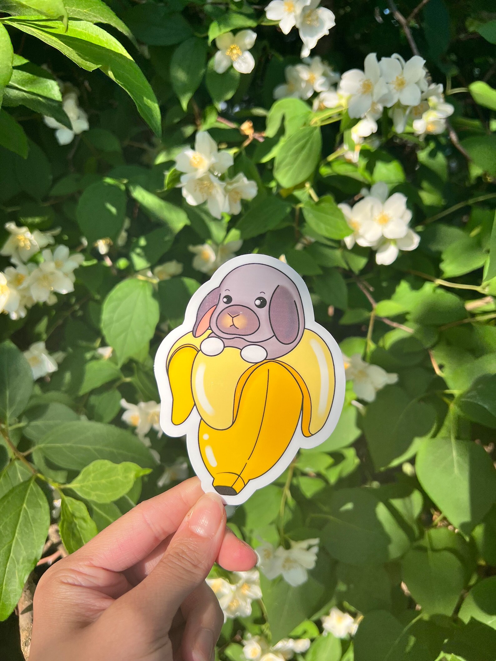 Cute Bunny Sticker | Bunana | Laptop Stickers | Premium Vinyl Sticker ...