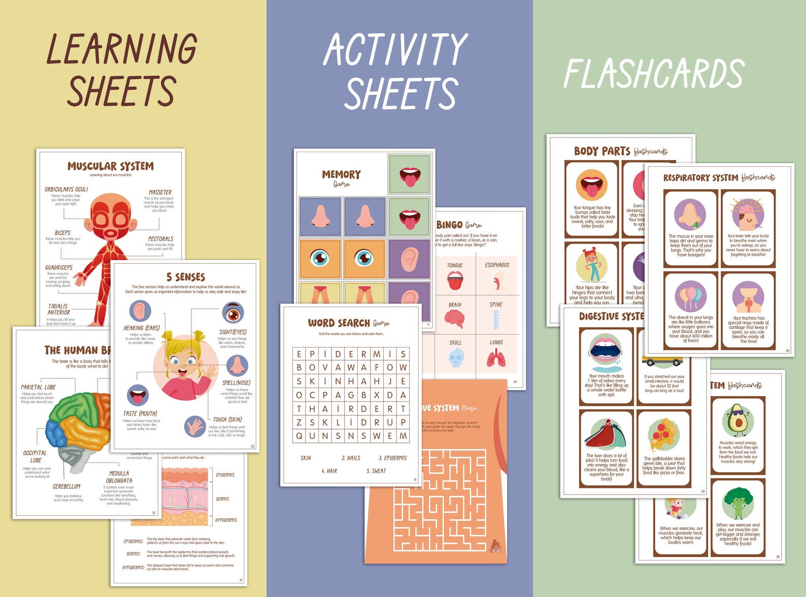 Anatomy Busy Book for Kids, Printable, Educational Busy Book, Learning ...