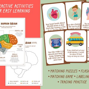 Anatomy Busy Book for Kids, Printable, Educational Busy Book, Learning ...