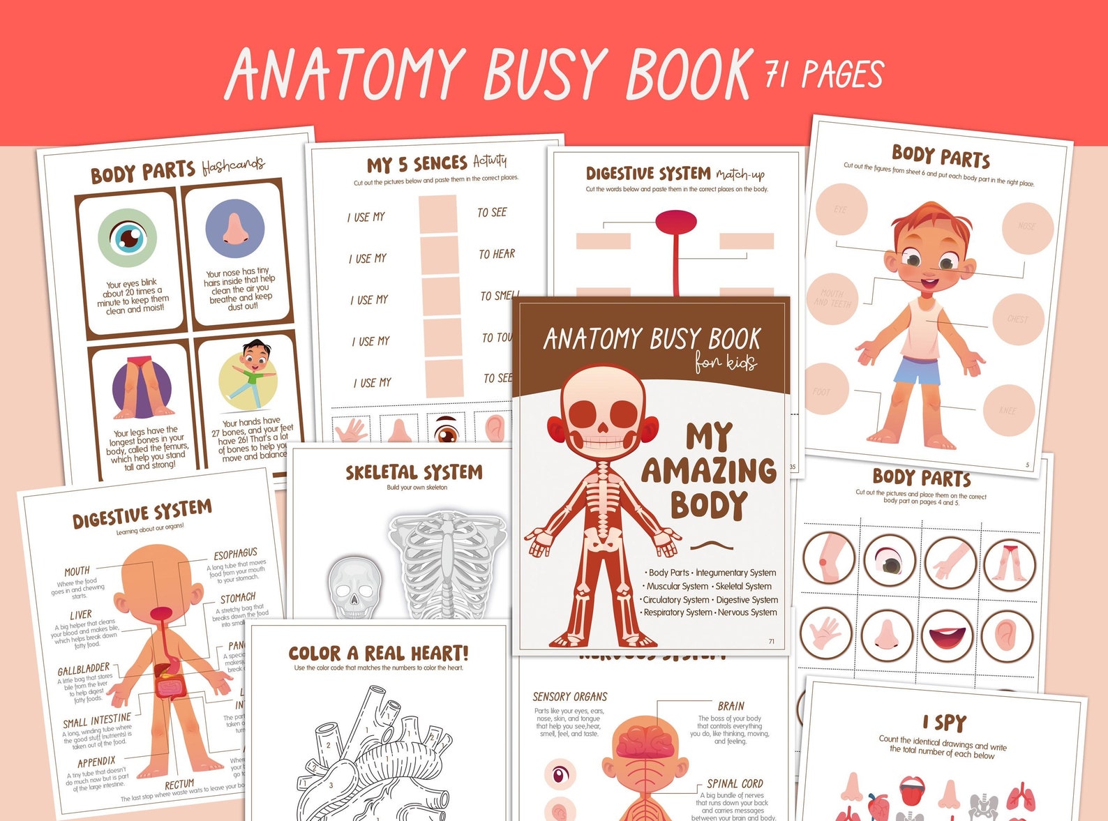 Anatomy Busy Book for Kids, Printable, Educational Busy Book, Learning ...