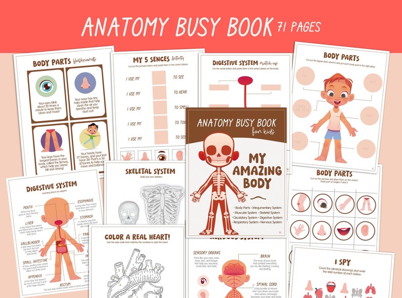 Anatomy Busy Book for Kids, Printable, Educational Busy Book, Learning ...