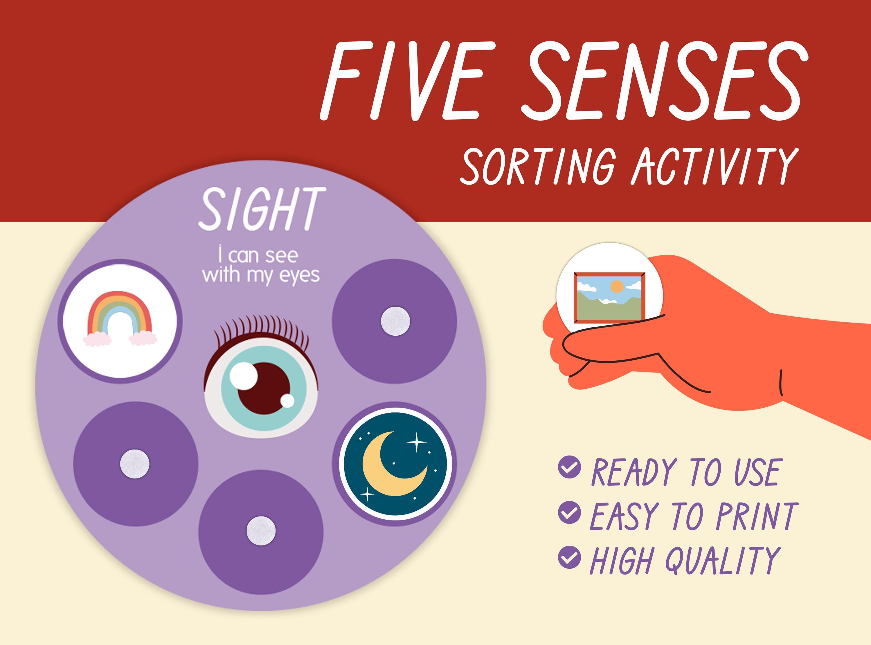 Five Senses Sorting Printable Game, Human Body Worksheets ...