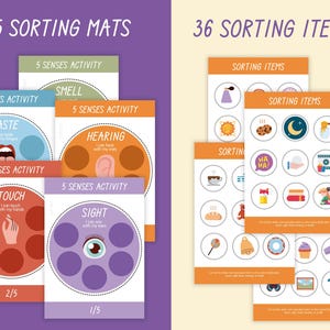 Five Senses Sorting Printable Game, Human Body Worksheets ...