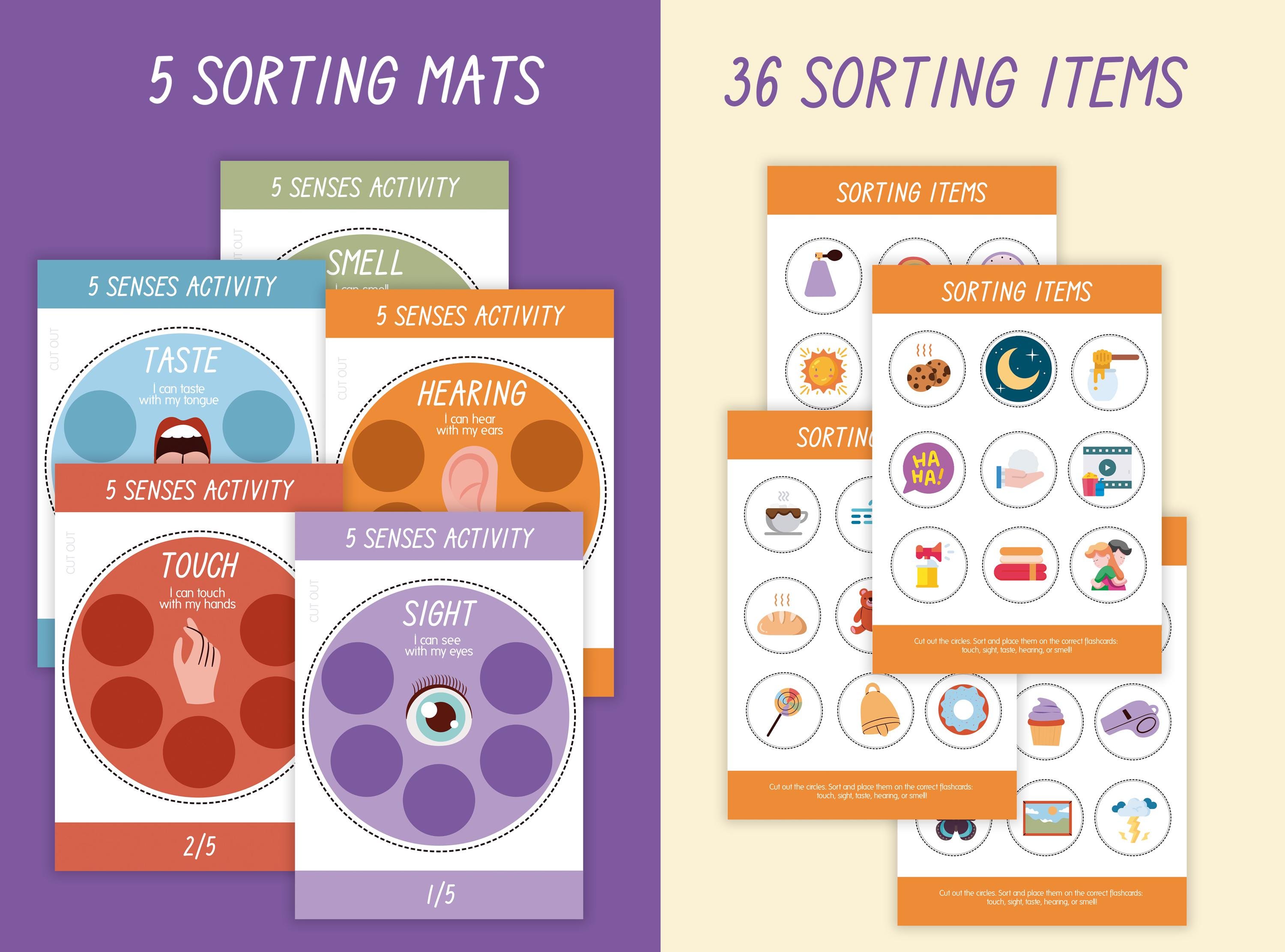Five Senses Sorting Printable Game, Human Body Worksheets ...