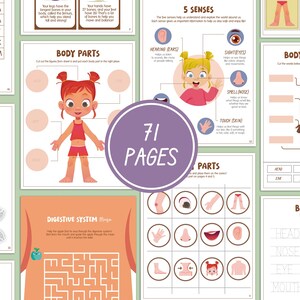 Anatomy Busy Book for Kids, Printable, Educational Busy Book, Learning ...