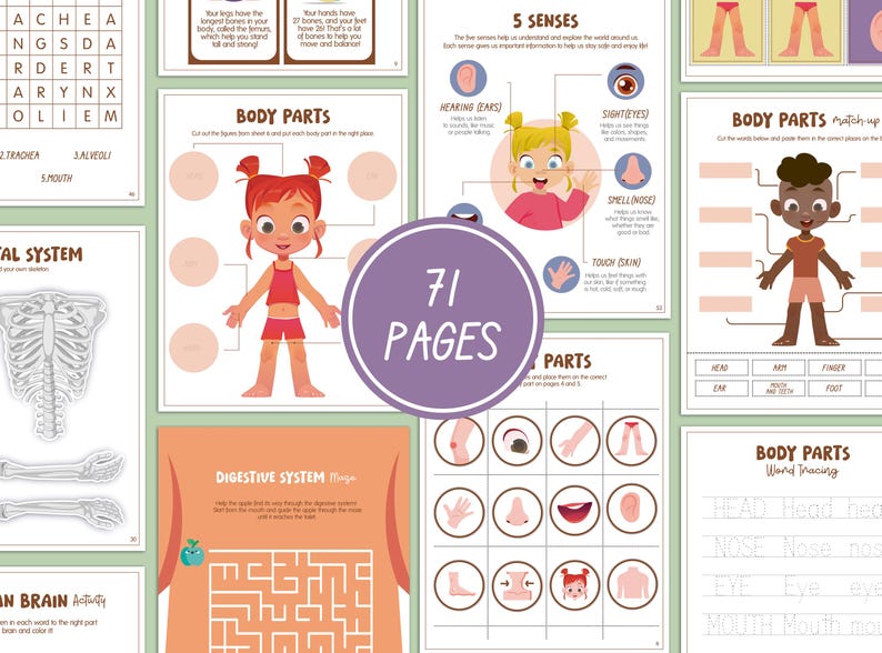 Anatomy Busy Book for Kids, Printable, Educational Busy Book, Learning ...