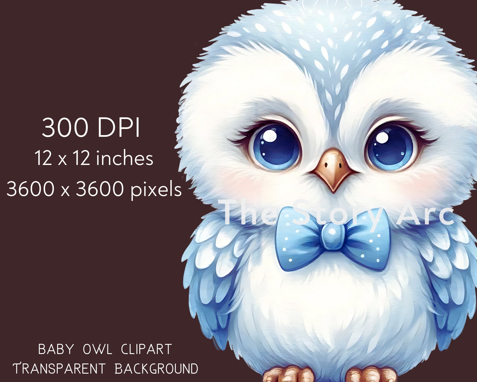 Cute Baby Owl Clipart PNG, Baby Shower Graphic Design, Digital Download ...