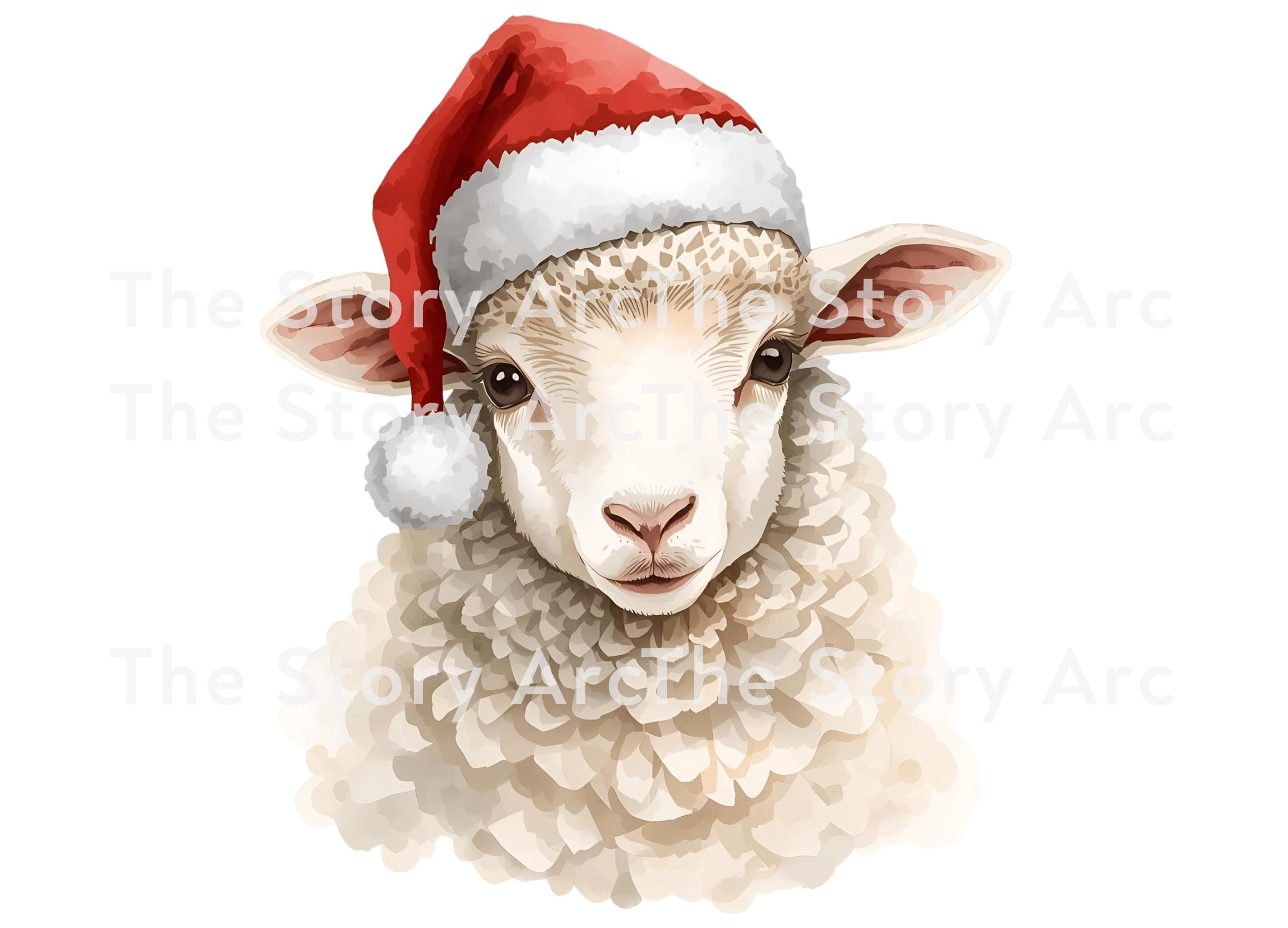 20 Christmas Sheep Clipart, Transparent PNG, Watercolor Holiday Winter ...
