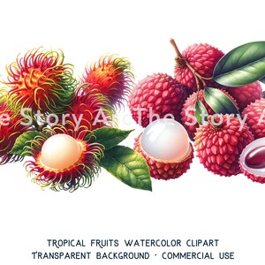Tropical Fruit Clipart, 18 Fruit PNG, Digital Download, Fresh Fruits ...