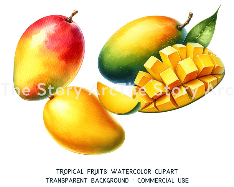 Tropical Fruit Clipart, 18 Fruit PNG, Digital Download, Fresh Fruits ...