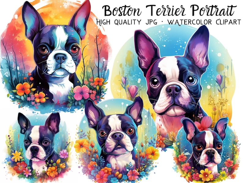 Cute Boston Terrier Clipart, 12 Boston Terrier Portrait, Dog Clipart ...
