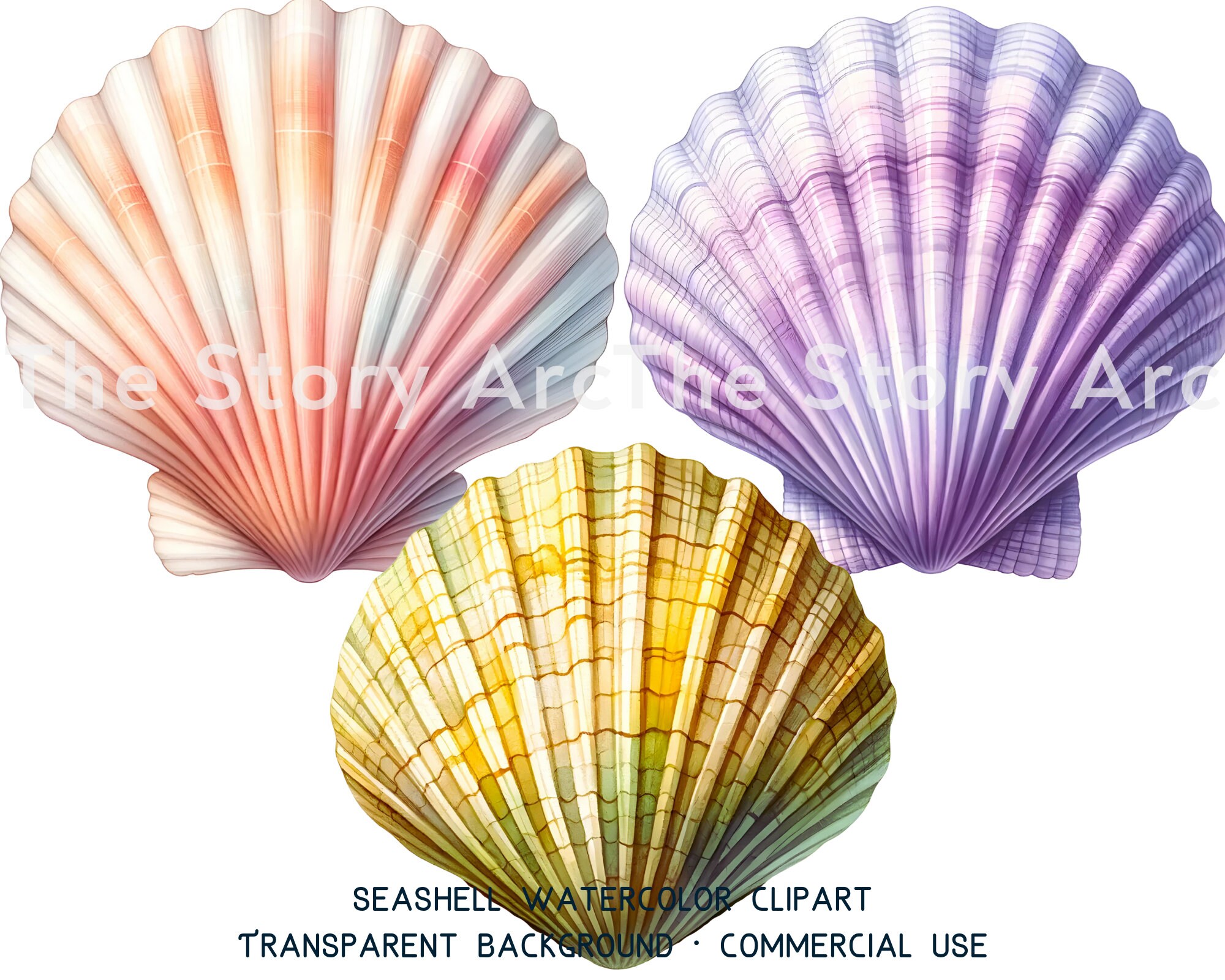 Watercolor Seashell Clipart, 22 PNG, Digital Download, Ocean Graphics ...