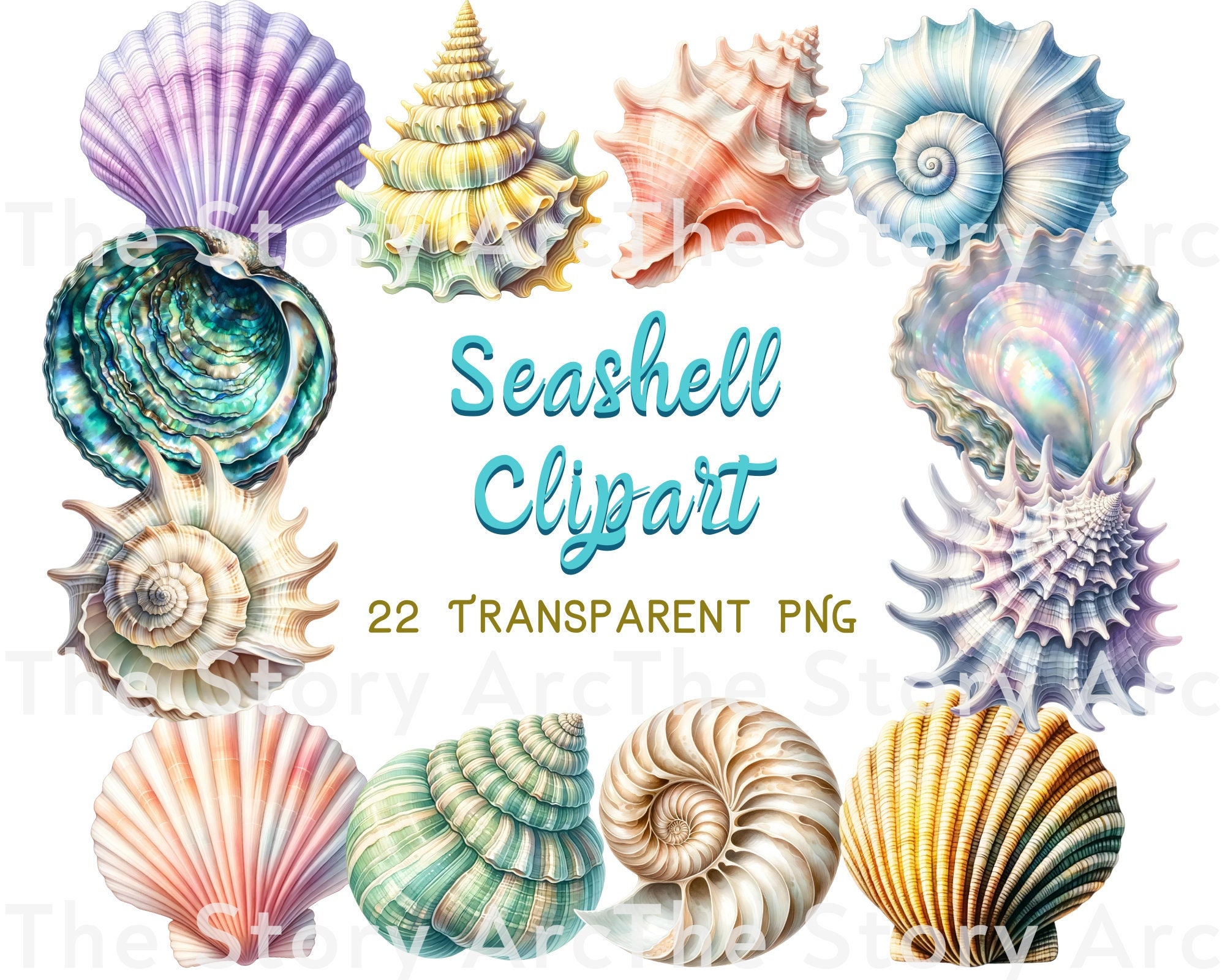 Watercolor Seashell Clipart, 22 Seashells PNG, Digital Download ...