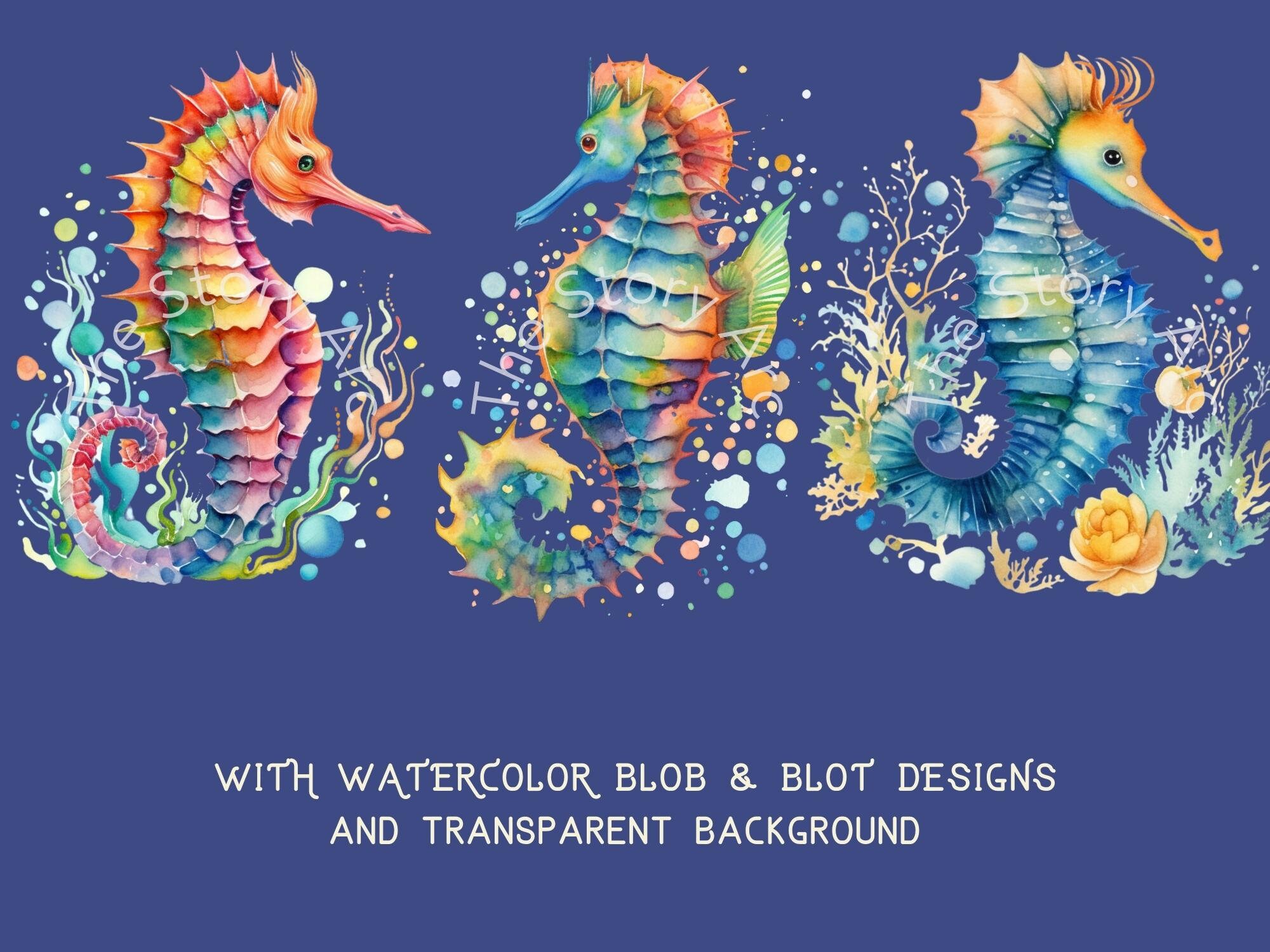 Seahorse Watercolor Clipart, 25 Colorful Seahorse PNG, Under the Sea ...