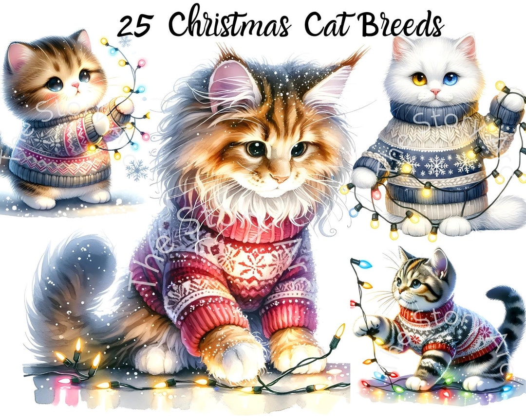 Cat Christmas Clipart, Cute Kitten Christmas Lights, 25 High Quality ...