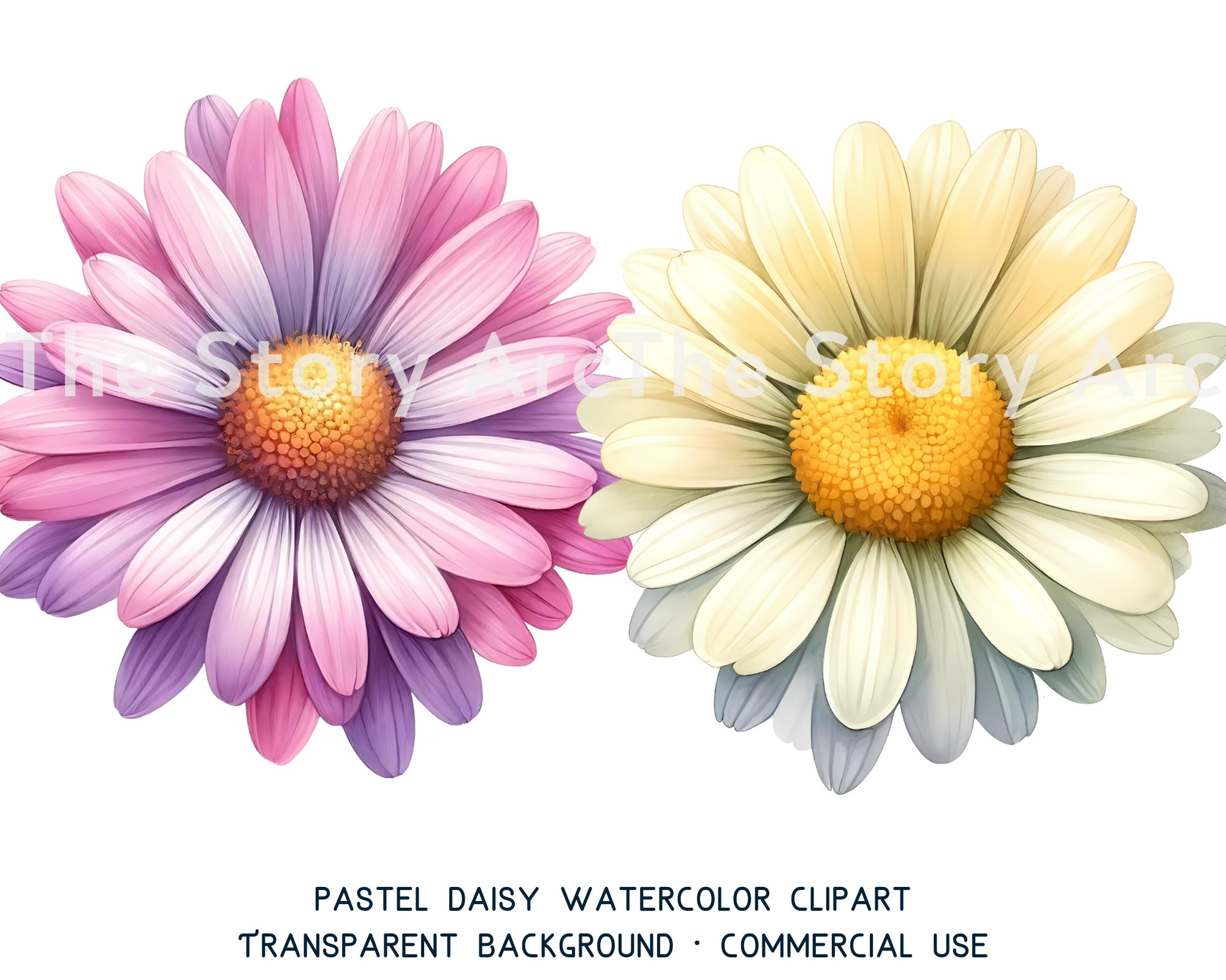 Daisy Watercolor Clipart, 20 Daisy PNG, Pastel Daisy, Digital Download ...