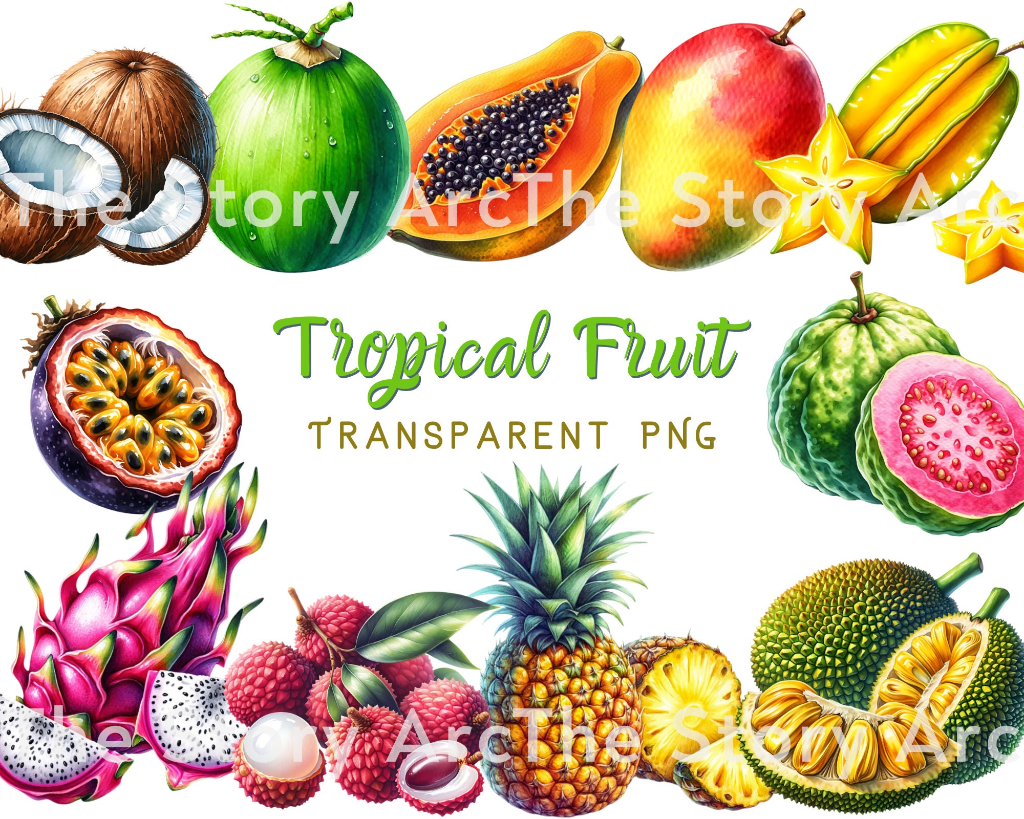Tropical Fruit Clipart, 18 Fruit PNG, Digital Download, Fresh Fruits ...