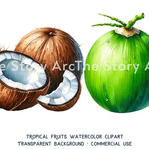 Tropical Fruit Clipart, 18 Fruit PNG, Digital Download, Fresh Fruits ...