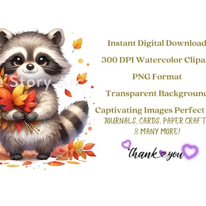 Cute Raccoon Clipart, Party Raccoon PNG, Baby Raccoon, Digital Download ...
