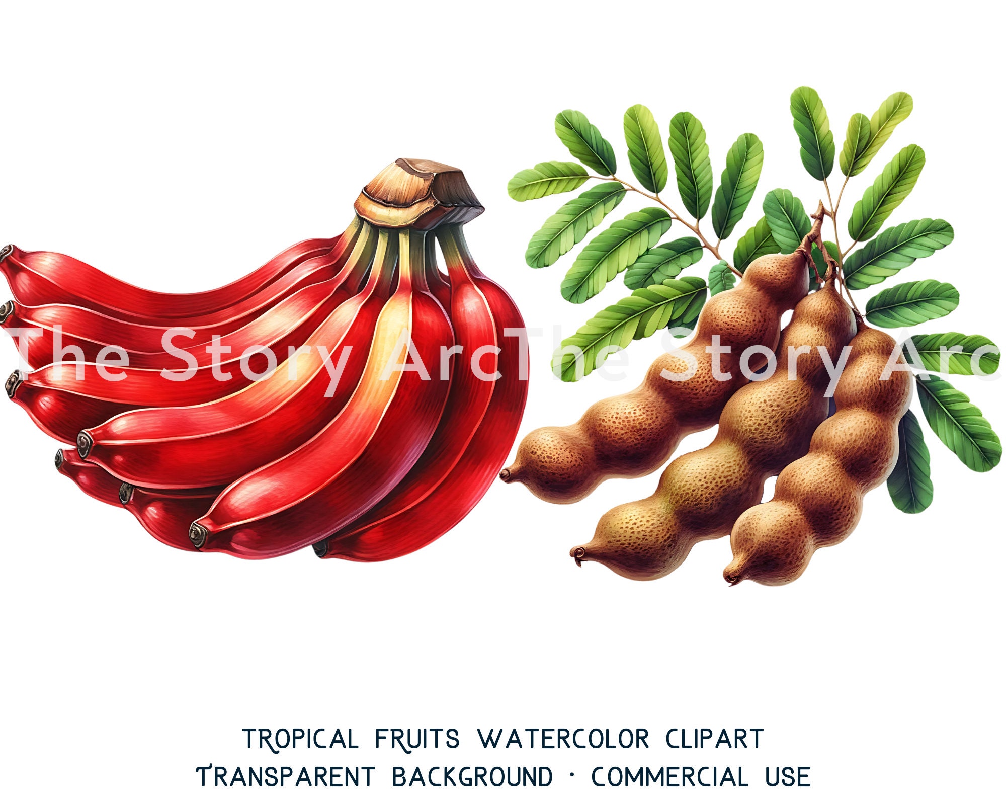Tropical Fruit Clipart, 18 Fruit PNG, Digital Download, Fresh Fruits ...