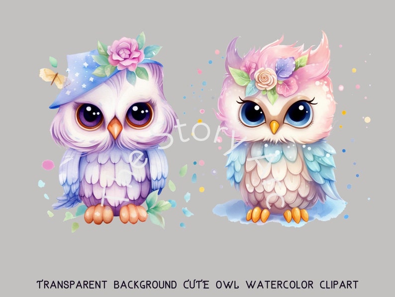 Cute Owl Clipart 18 Watercolor Owl Clipart Owl Big Eyes - Etsy