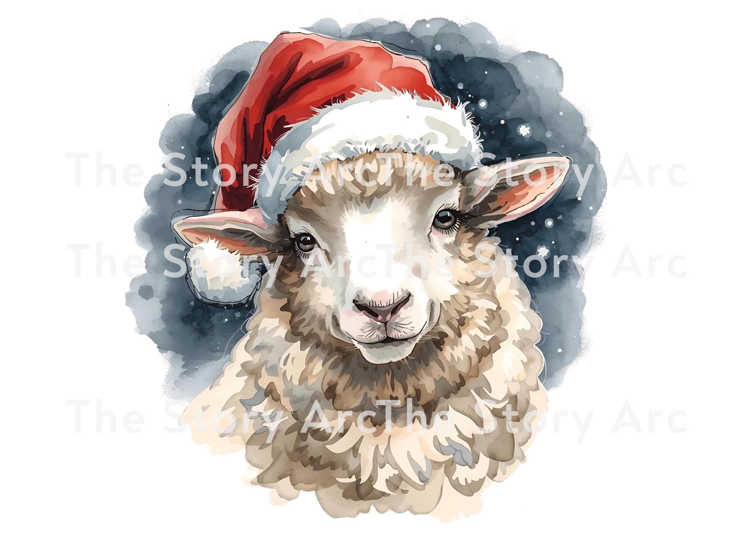 20 Christmas Sheep Clipart, Transparent PNG, Watercolor Holiday Winter ...