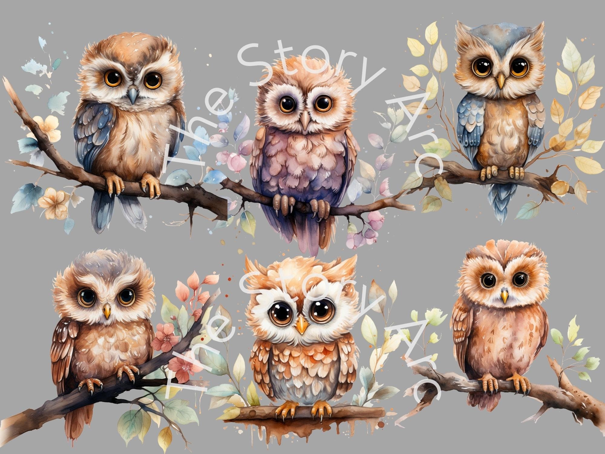 Owl Clipart, 17 Cute Owl PNG, Cute Owl Watercolor Clipart, Owl Flower ...