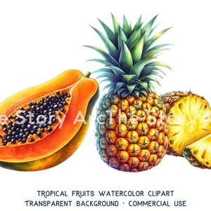 Tropical Fruit Clipart, 18 Fruit PNG, Digital Download, Fresh Fruits ...