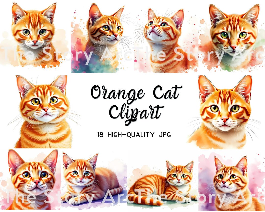 Orange Cat Clipart, 18 High-quality JPG, Orange Kitten, Ginger Cat ...
