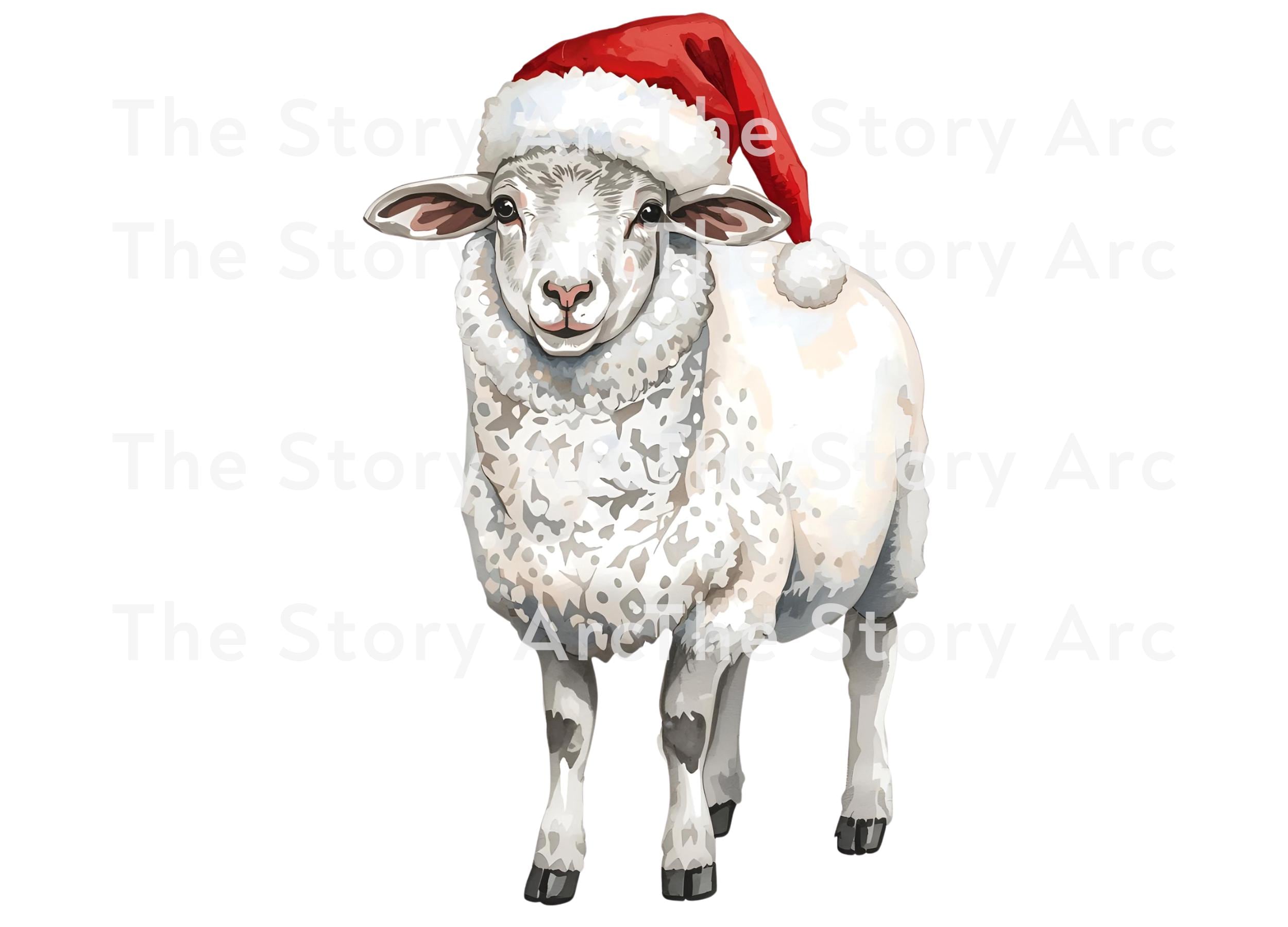 20 Christmas Sheep Clipart, Transparent PNG, Watercolor Holiday Winter ...