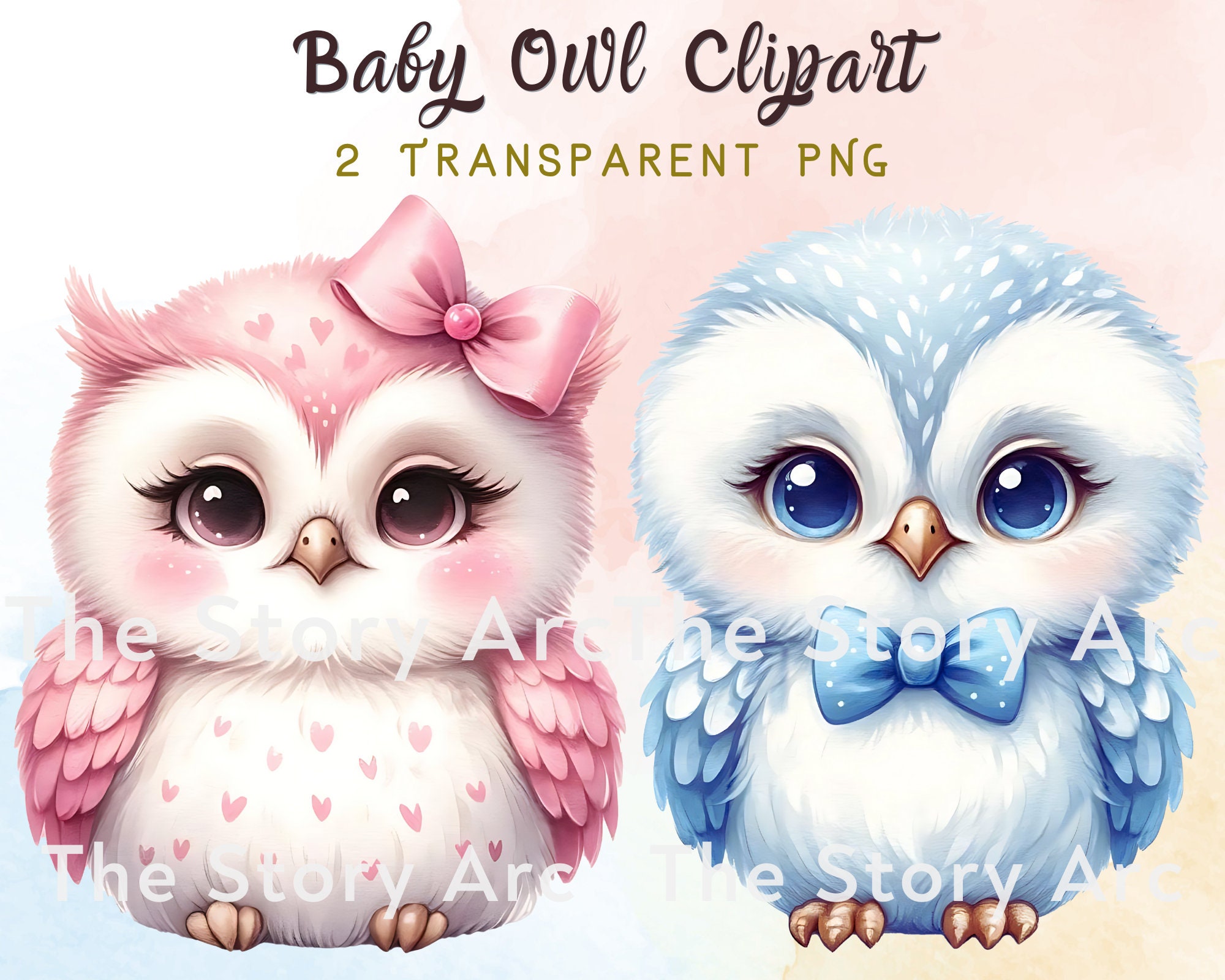 Baby Owl Clipart, Cute Owl PNG, Baby Animal Clipart, Baby Shower ...